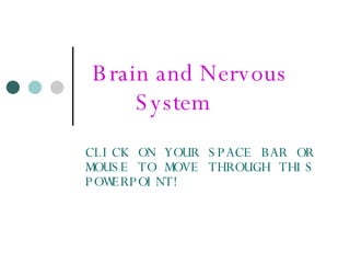 Brain And Nervous System | PPT | Brain and Nervous System Disorders ...