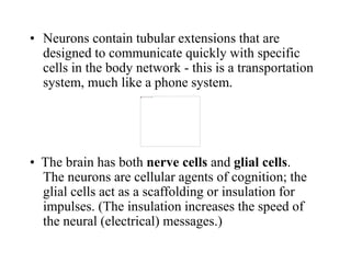 Brain based Learning and Teaching | Edusctudynotes.com
