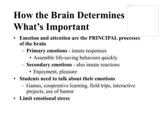 Brain based Learning and Teaching | Edusctudynotes.com