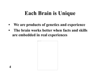 Brain based Learning and Teaching | Edusctudynotes.com
