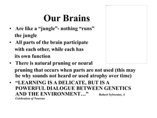 Brain based Learning and Teaching | Edusctudynotes.com