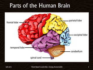 BRAIN BASED LEADERSHIP | PDF | Education