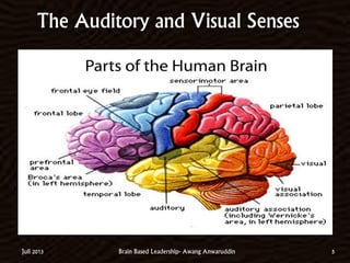 BRAIN BASED LEADERSHIP | PDF | Education