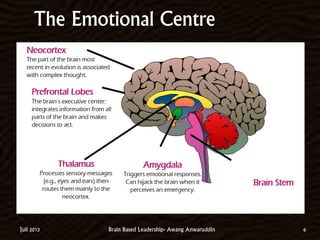 BRAIN BASED LEADERSHIP | PDF | Education