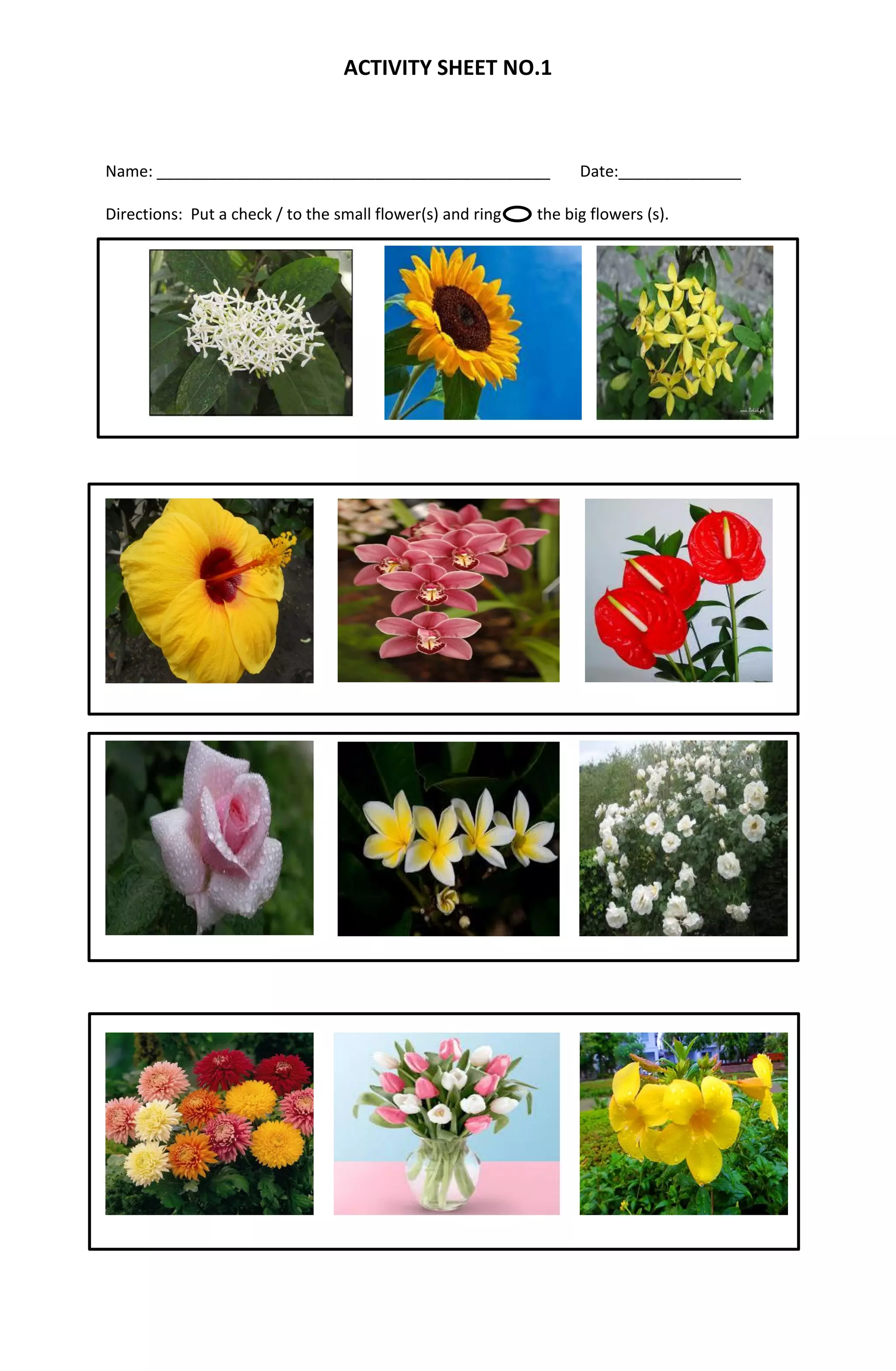 Brain based lesson plan | PDF