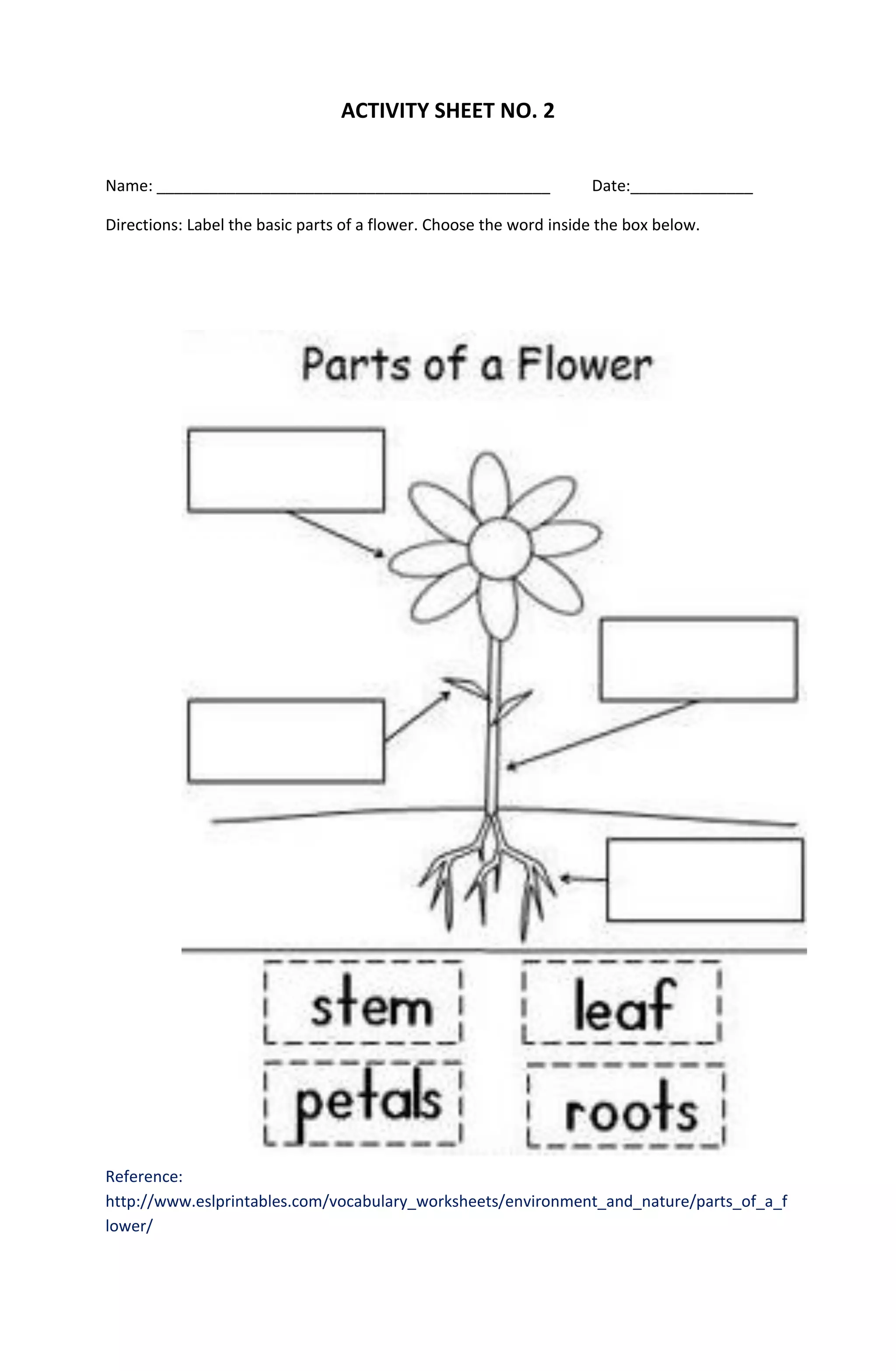 Brain based lesson plan | PDF