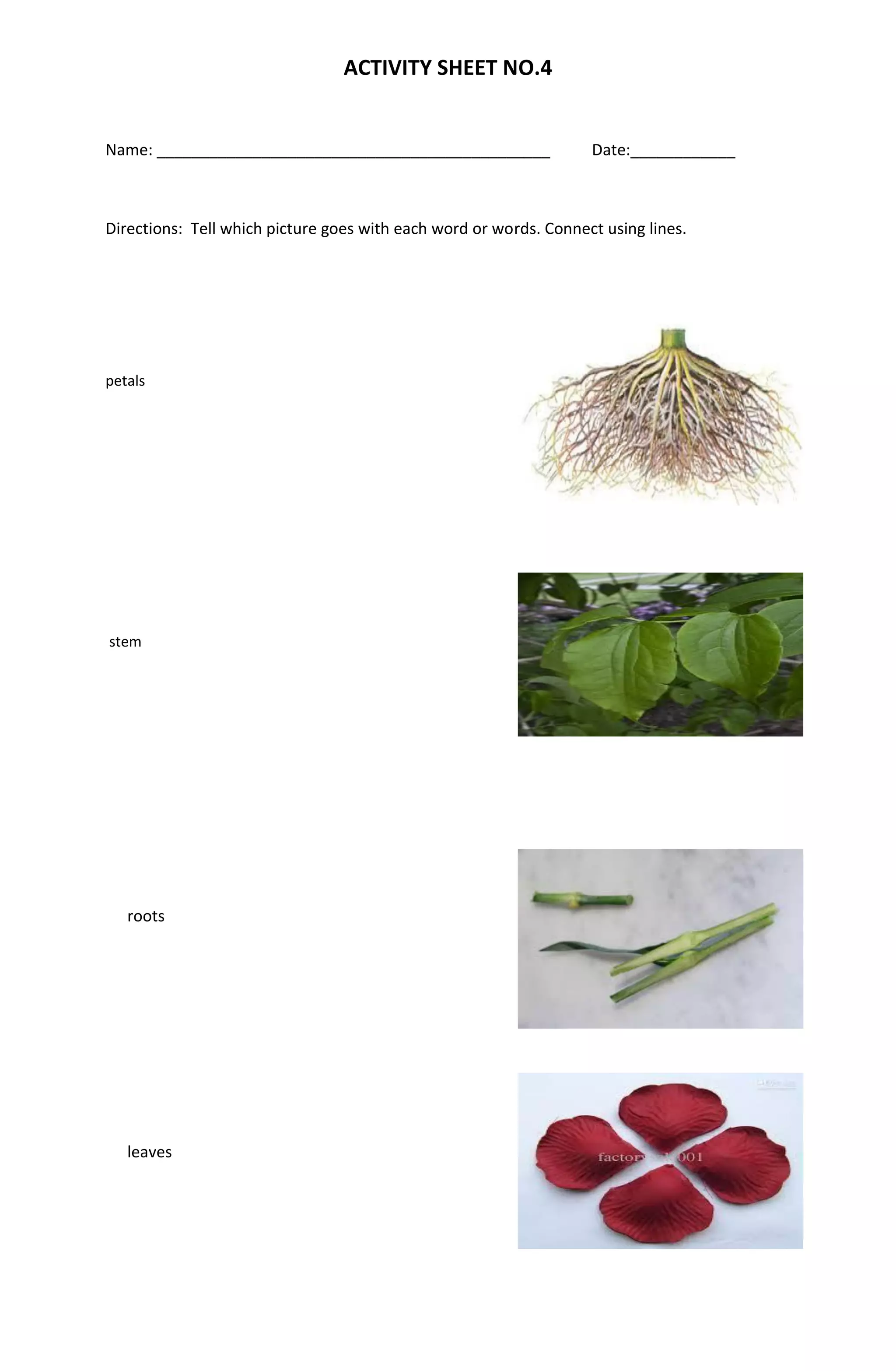 Brain based lesson plan | PDF