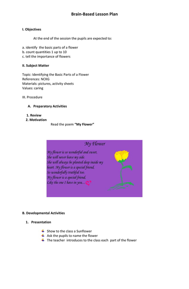 Brain based lesson plan | PDF