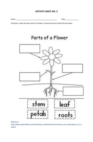 Brain based lesson plan | PDF