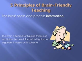 Brain based teaching | PPTX