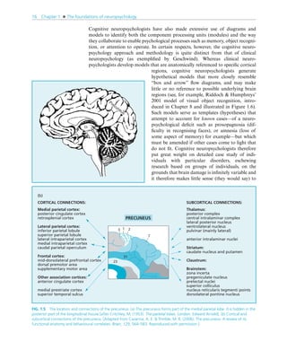 Brain-Behavior-Easy-Intro_Neuropsychology.pdf