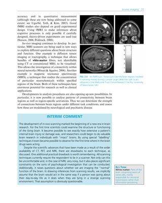 Brain-Behavior-Easy-Intro_Neuropsychology.pdf