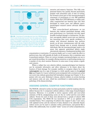 Brain-Behavior-Easy-Intro_Neuropsychology.pdf