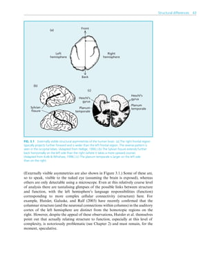 Brain-Behavior-Easy-Intro_Neuropsychology.pdf