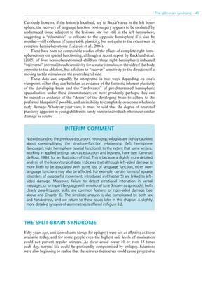 Brain-Behavior-Easy-Intro_Neuropsychology.pdf