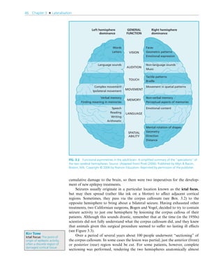 Brain-Behavior-Easy-Intro_Neuropsychology.pdf