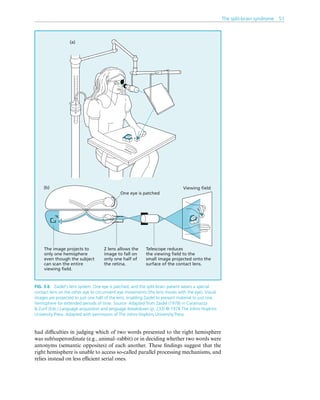 Brain-Behavior-Easy-Intro_Neuropsychology.pdf