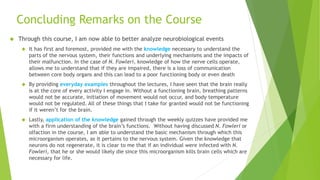 Brain eating amoeba (naegleria fowleri) | PPTX