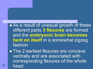 BRAIN-EMBRYOLOGY-2-2.ppt.. . | PPT