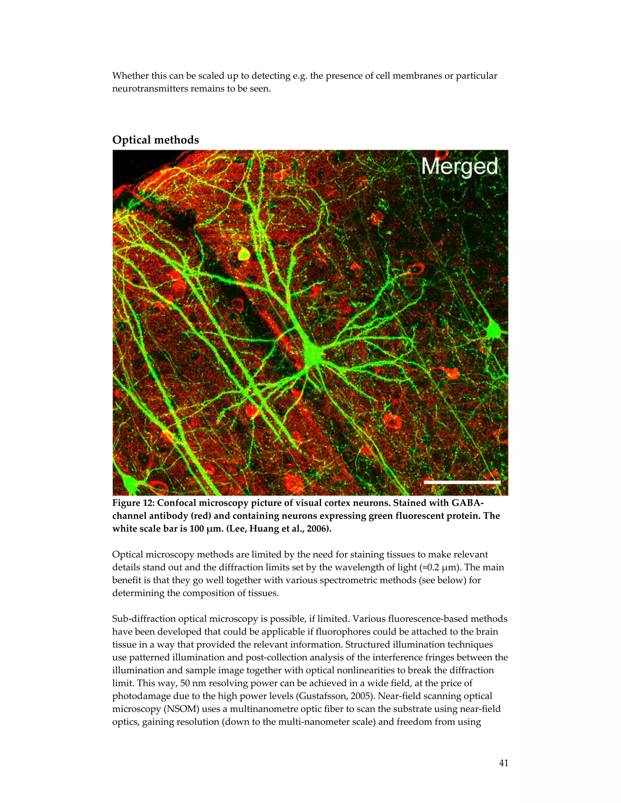 Brain emulation-roadmap-report | PDF | Graphics Software | Computer Software and Applications