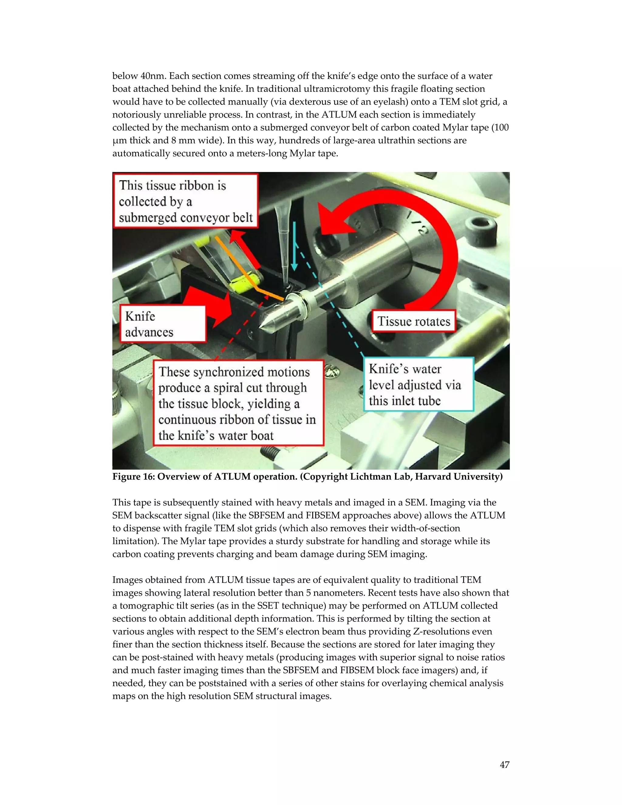 Brain emulation-roadmap-report | PDF | Graphics Software | Computer Software and Applications