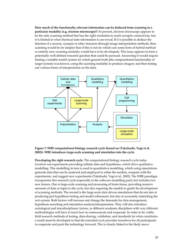 Brain emulation-roadmap-report | PDF | Graphics Software | Computer ...