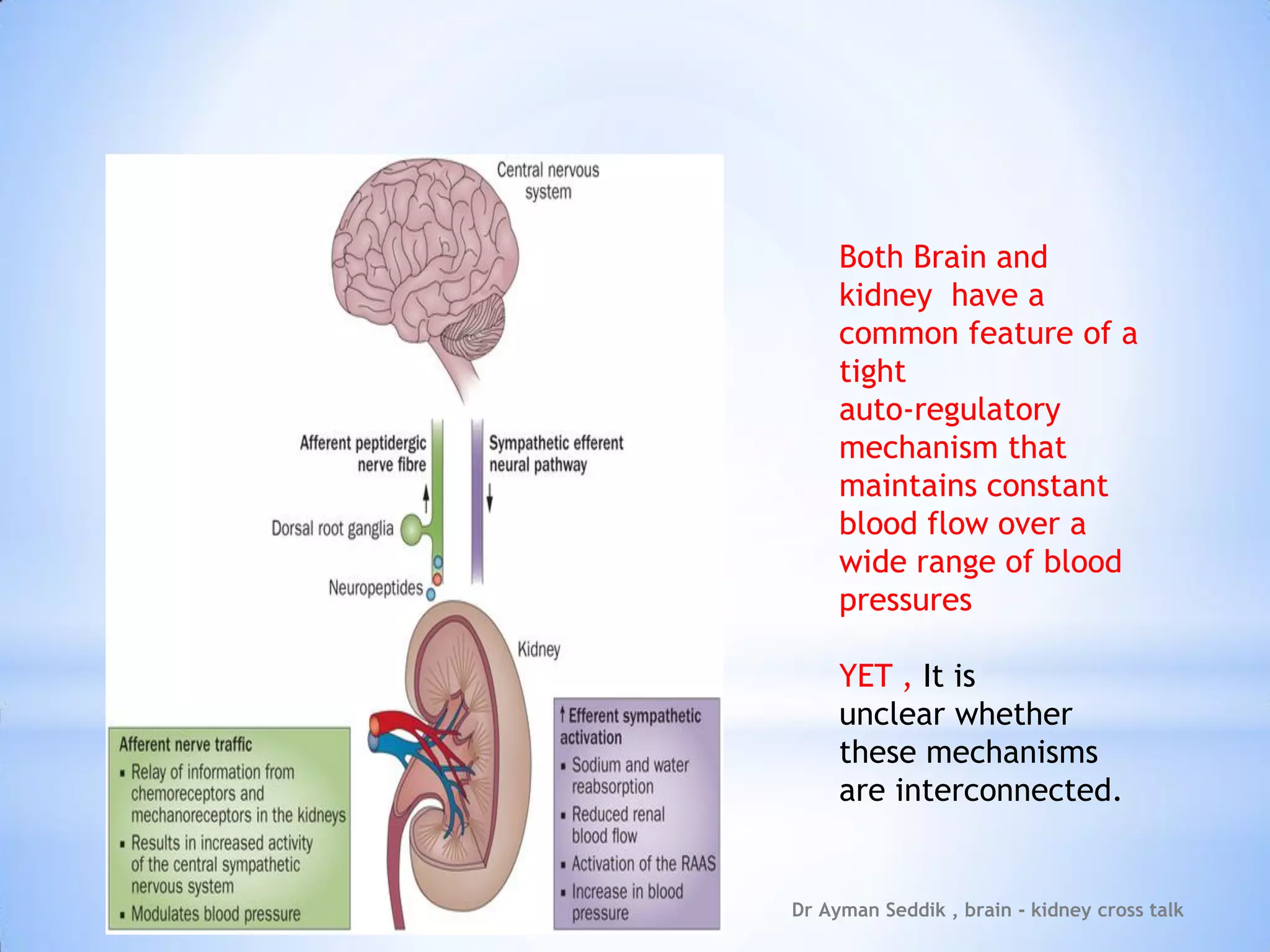 Brain kidney cross talk final 2016 | PDF