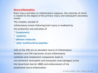Brain kidney cross talk final 2016 | PDF