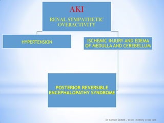 Brain kidney cross talk final 2016 | PDF