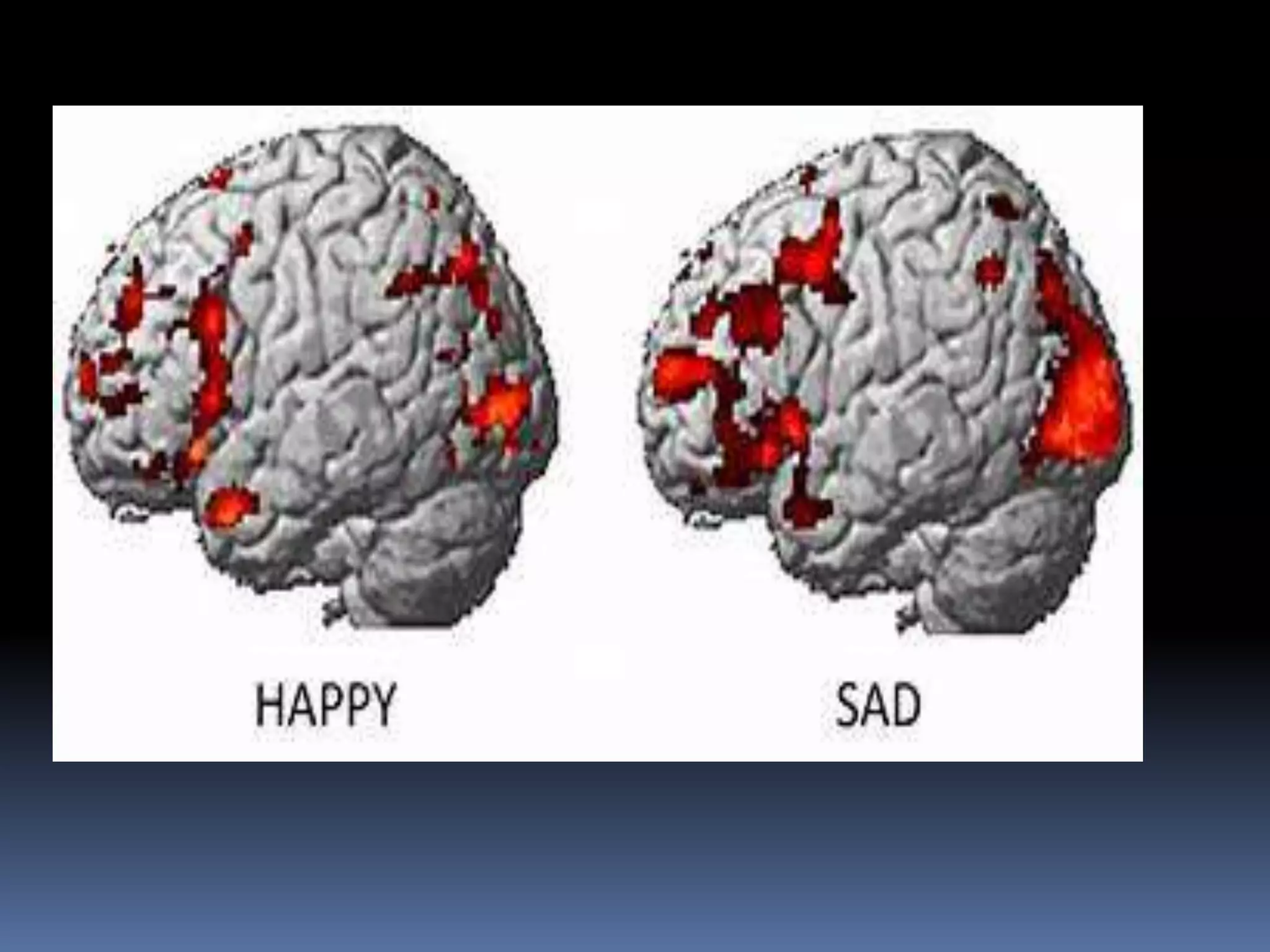 Brain Mapping Techniques | PPTX