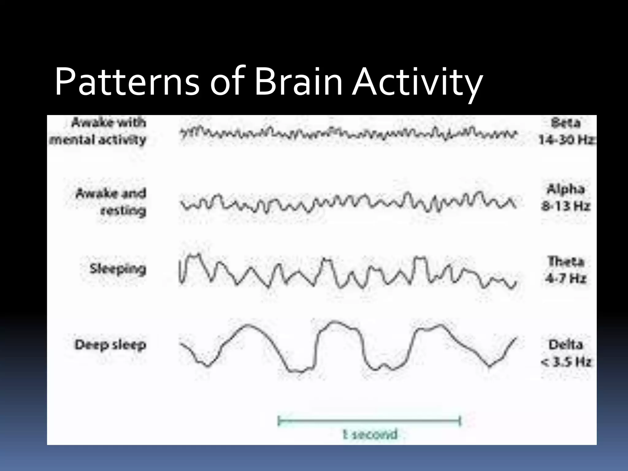 Brain Mapping Techniques | PPTX