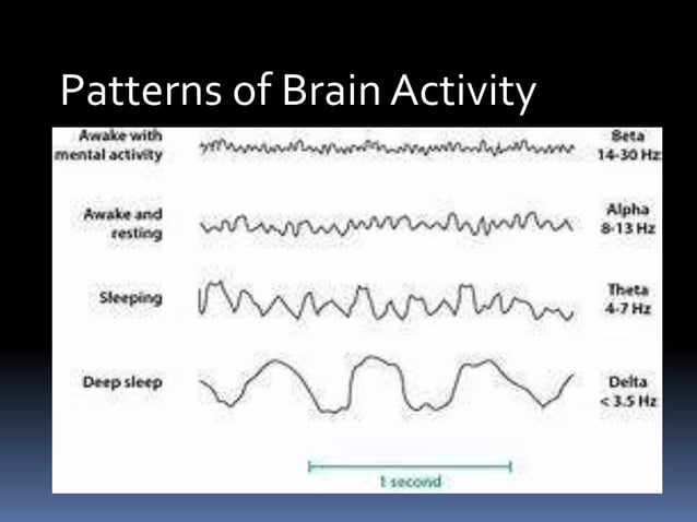 Brain Mapping Techniques | PPTX
