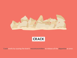 How Does Crack Cocaine Affect the Brain? | PPT
