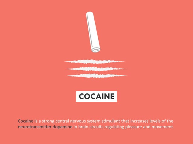 How Does Crack Cocaine Affect the Brain? | PPT