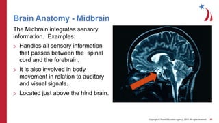 Brain-Power-PPT.pptx