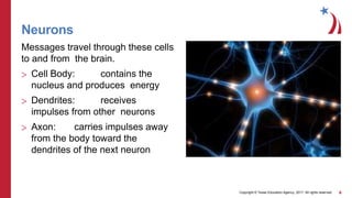 Brain-Power-PPT.pptx