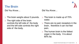 Brain-Power-PPT.pptx
