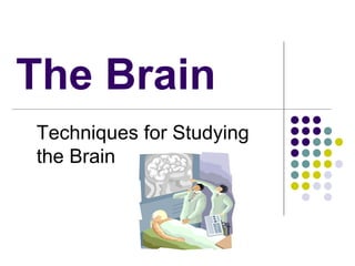 Brain | PPT