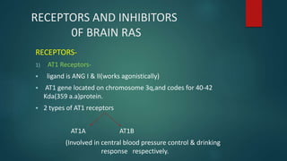 Brain renin angiotensin system | PPT