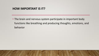 Brain-Research, Attachment Issues and Sensory Integration(Revised).pptx