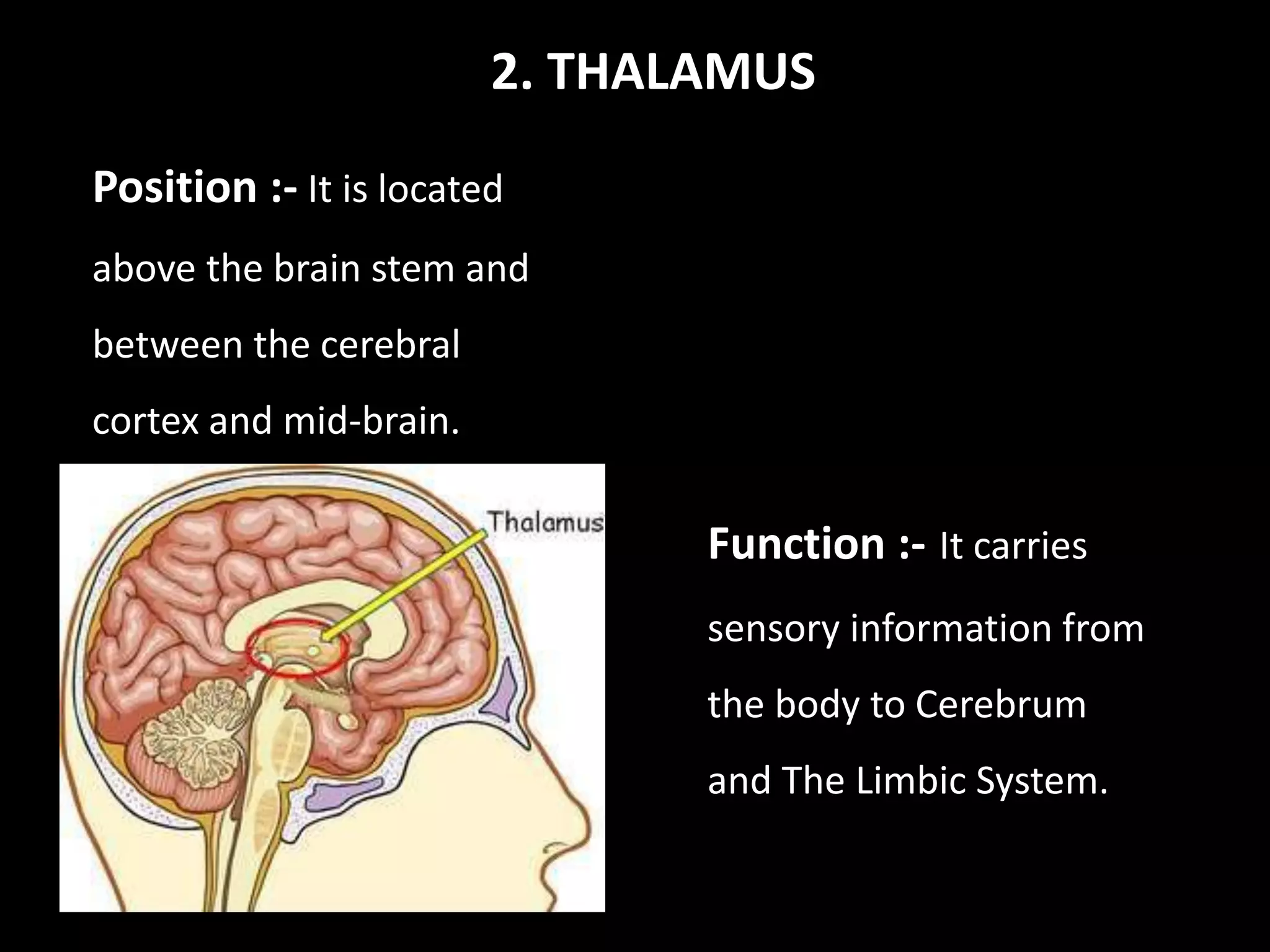 Brain:-structure and function | PPTX