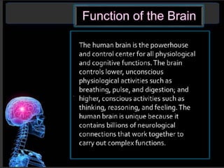 Brain:-structure and function | PPTX