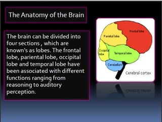 Brain:-structure and function | PPTX
