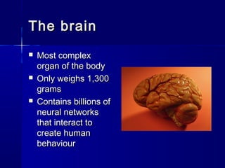 Brain | PPT