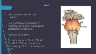Brain tumors | PPTX