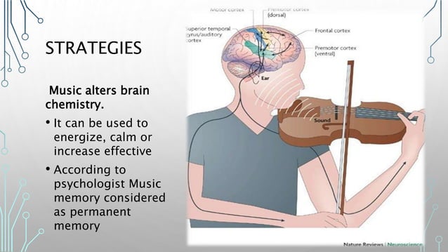 Brain based learning strategies | PPTX