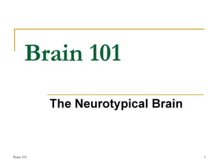 Brain 101 | PPT