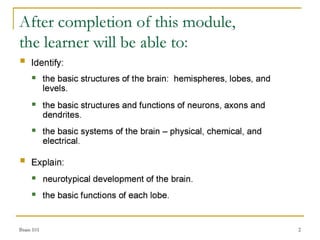 Brain 101 | PPT