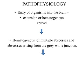 BRAIN ABCESS.pptx