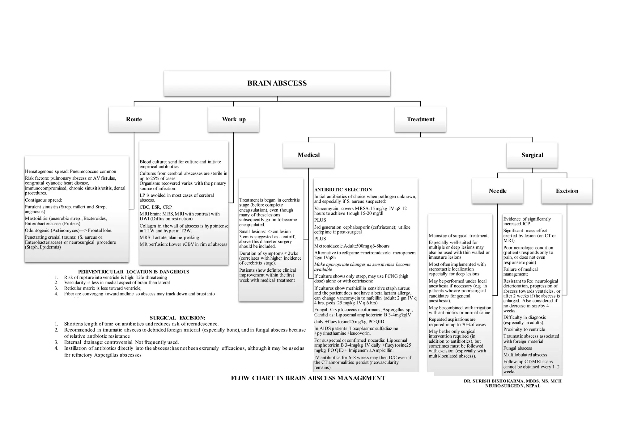 BRAIN ABSCESS: ALGORITHM SIMPLIFIED | DOCX | Infectious Diseases ...